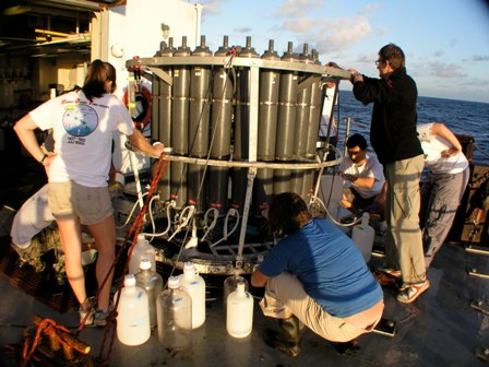 We’re Chasing Plankton – Science by the Sea